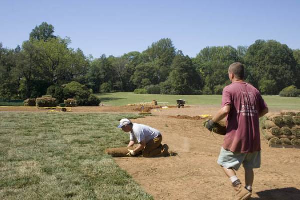 How to Install Sod in Orange County ~ Orange County Sod Farm